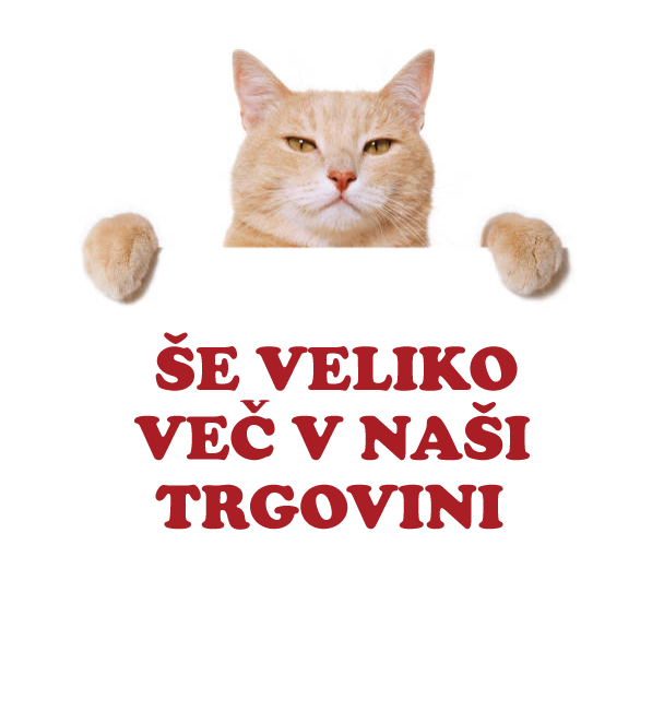 Spletna stran, namenjena ljubiteljem mačk - Mucek.si