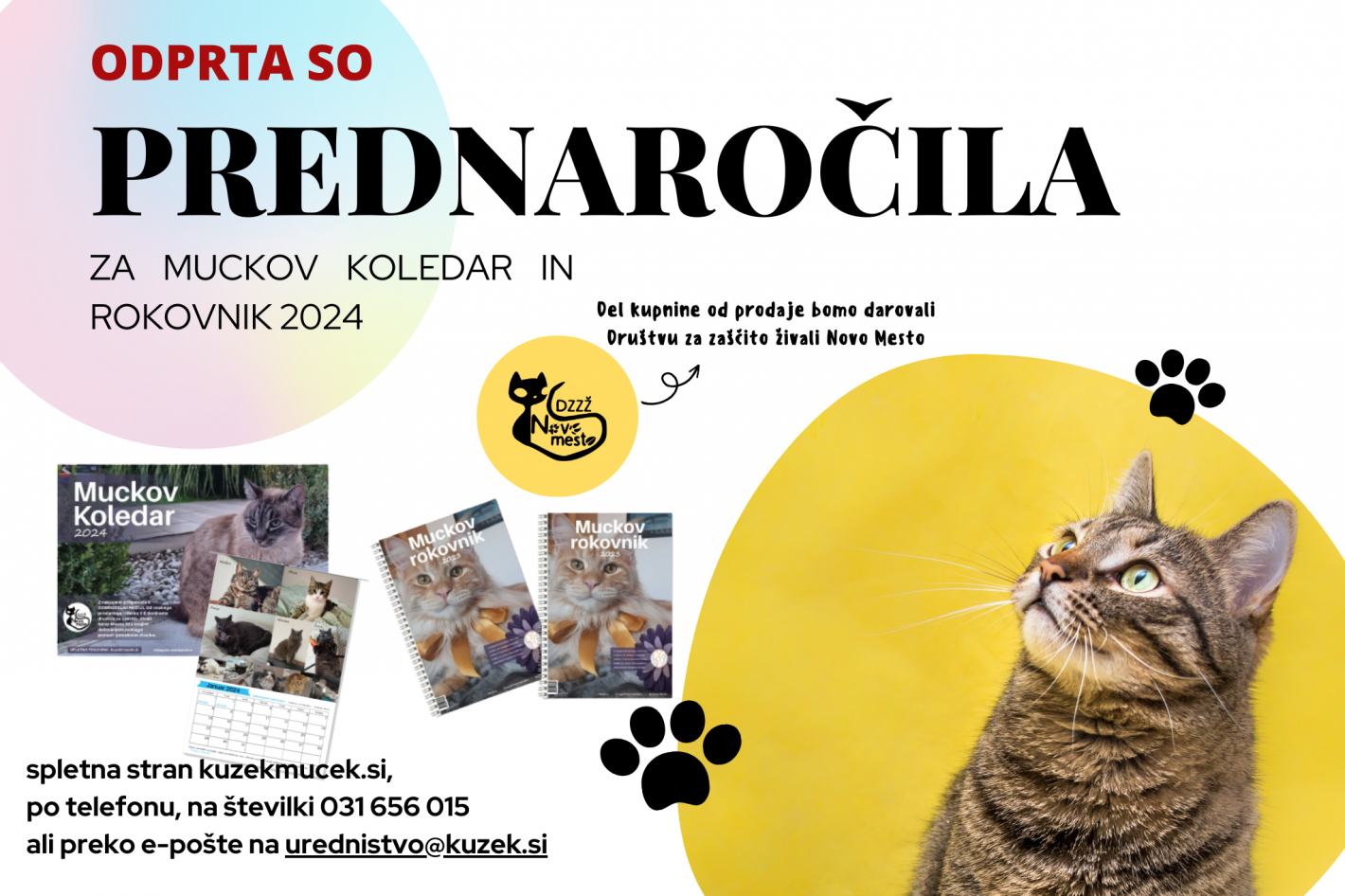 Spletna stran, namenjena ljubiteljem mačk - Mucek.si