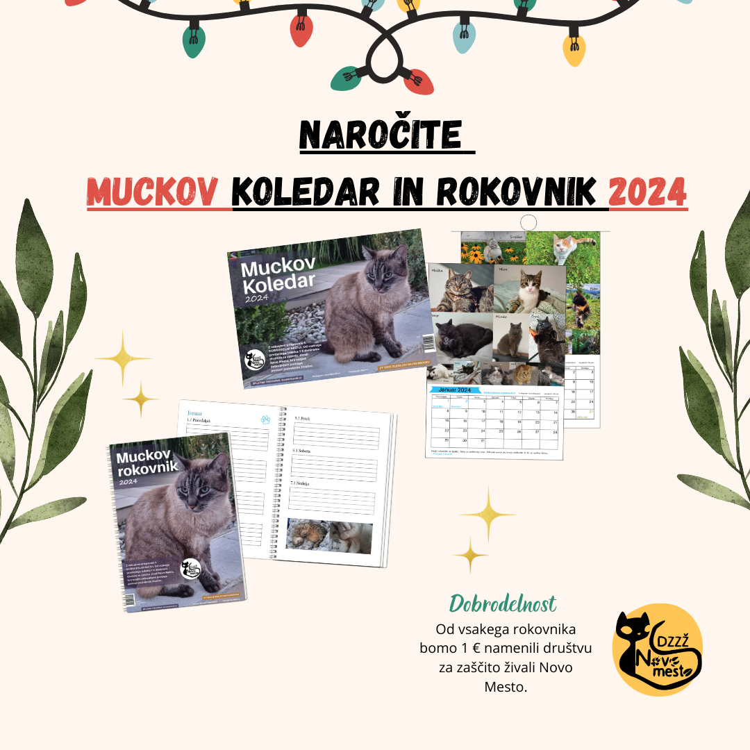 Spletna stran, namenjena ljubiteljem mačk - Mucek.si